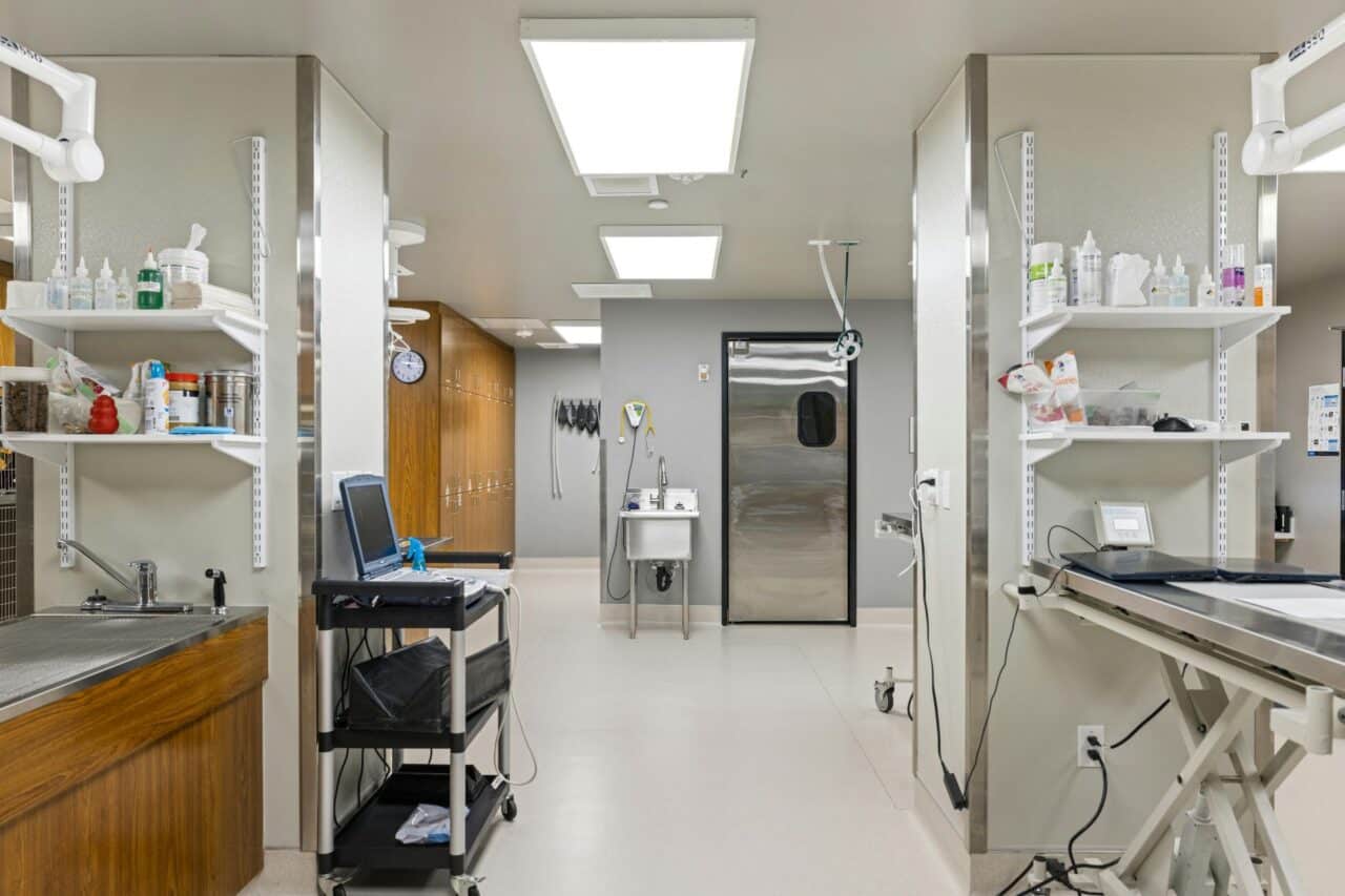 Tour Our Animal Hospital In Spring Hill, FL | Gulf Coast Veterinary Center